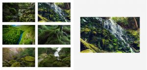 Using Emphasis for More Effective Designs - MARION Marketing