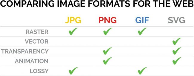 Raster Vs. Vector - Image Types and Files | MARION Marketing